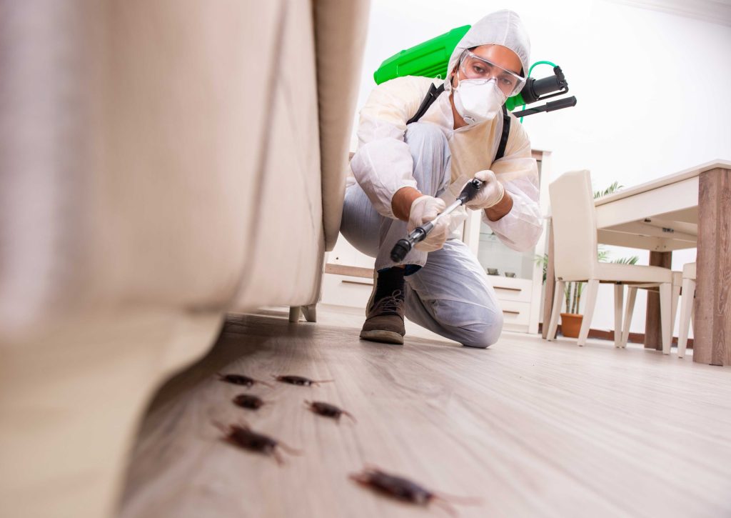 Connect with pest control service specialists in Suffolk, VA
